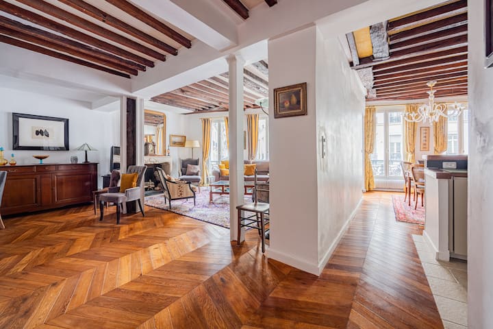 ÉLégant Et Spacieux Appartement Au Cœur De Paris - Paris