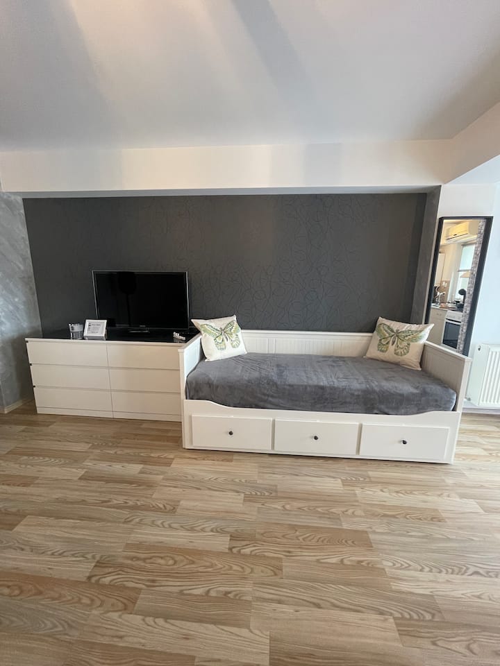 Bucharest Airport & Therme-self Check-in - Otopeni