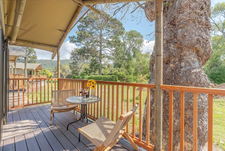 Glamping Cabin-safari Carmel 72 - Carmel-by-the-Sea, CA