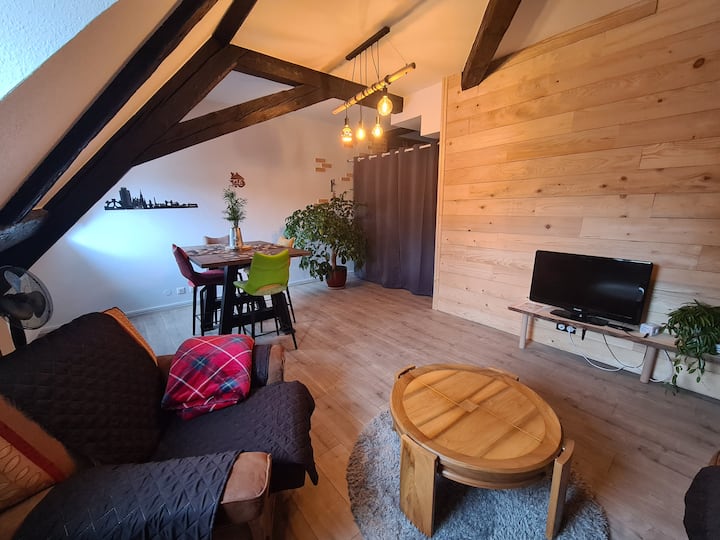 Grand Duplex - 4 Pers. Vivez "La Thannopée" ! - Thann