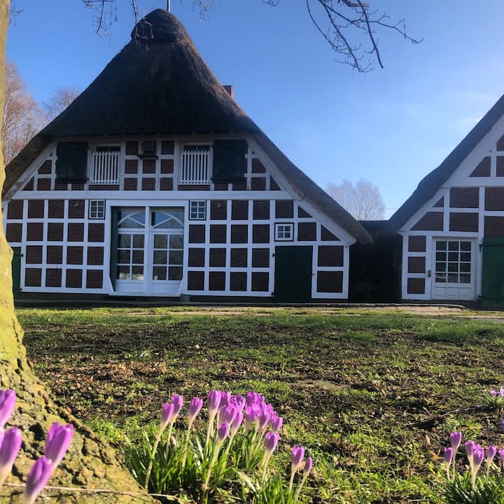 Abc-stall - Freiburg