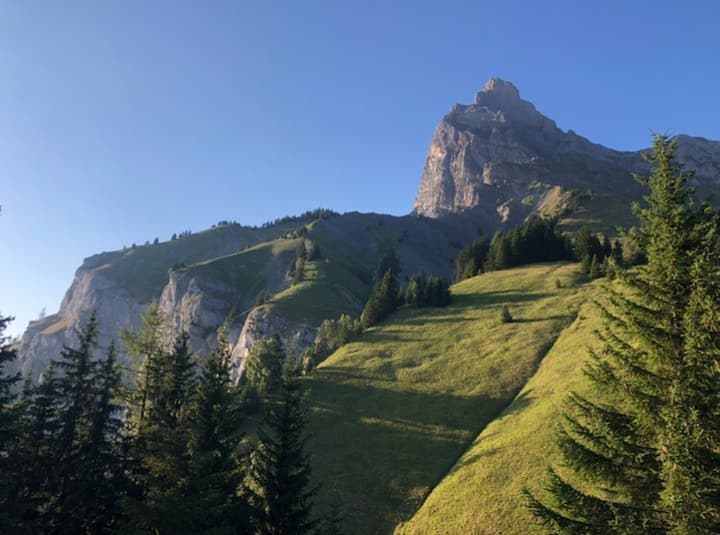 " Le Sapey " / Appartement - Passy