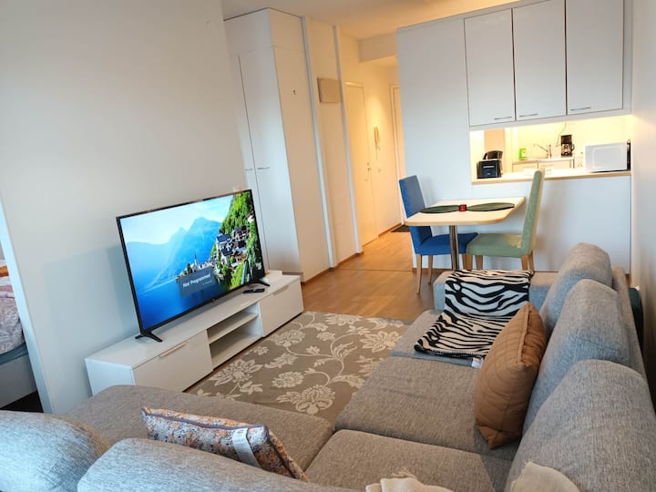 Cozy Studio Next To Metro With Free Parking - Espoo