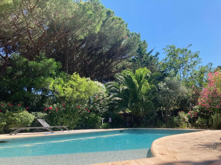 Palm Paradise Next To The Beach! - Saint-Tropez