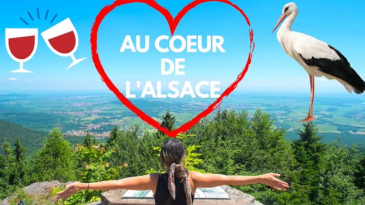 Plaisirs D'alsace /Munster / Colmar / Route Du Vin - 曼斯泰