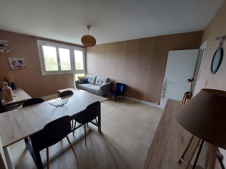 Appartement Cosy 4 Peronnes - Châteauroux