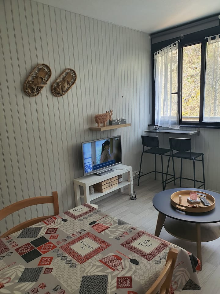 Studio 4 Personnes - Lac Pavin