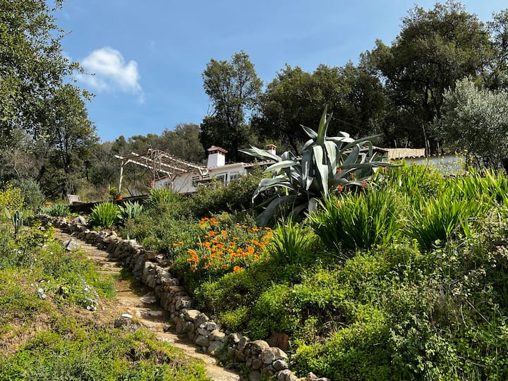 Casa Marianta - Monchique