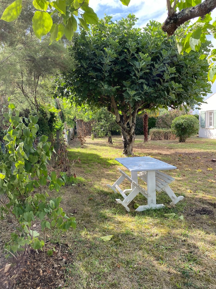 St Pierre D'oléron, La Menounière, Plage 350m - Île d'Oléron