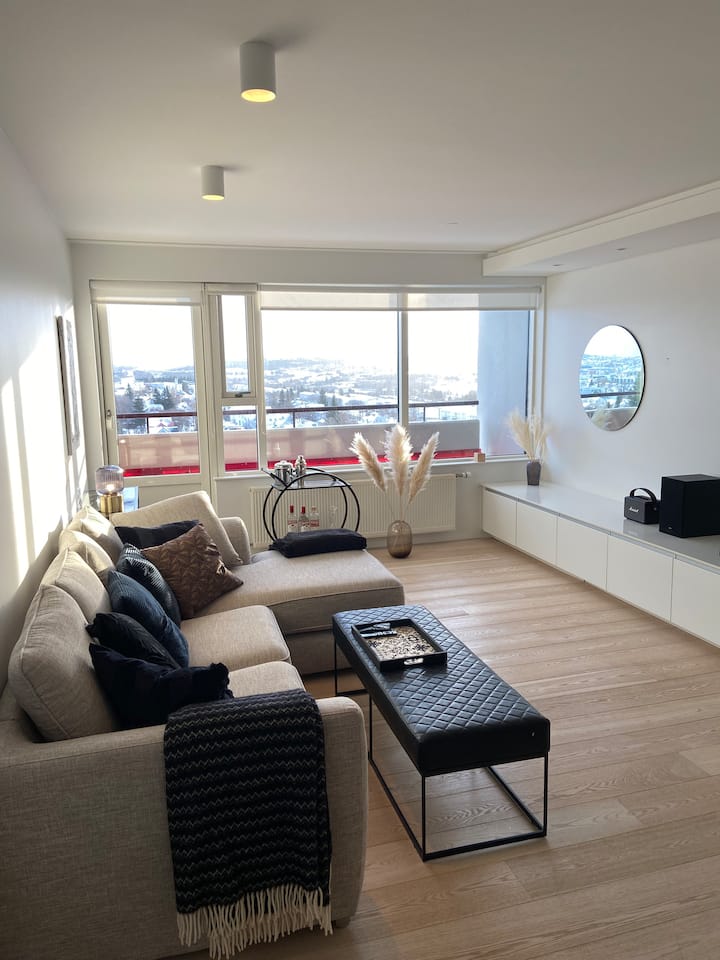 Modern 8th Floor Apt With Stunning City Views - Islândia