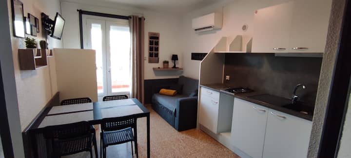 Les Flamants Roses N°3 Climatisé - Marseillan