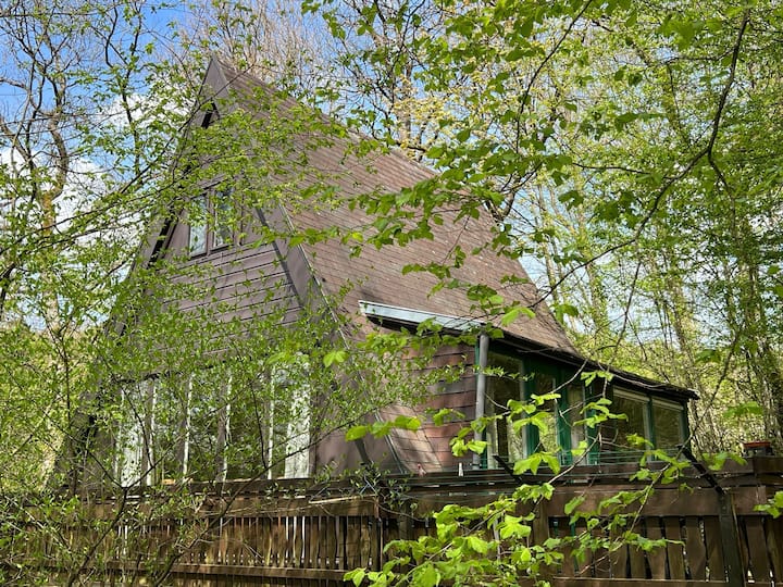 Chalet Du Bois Iv - Durbuy