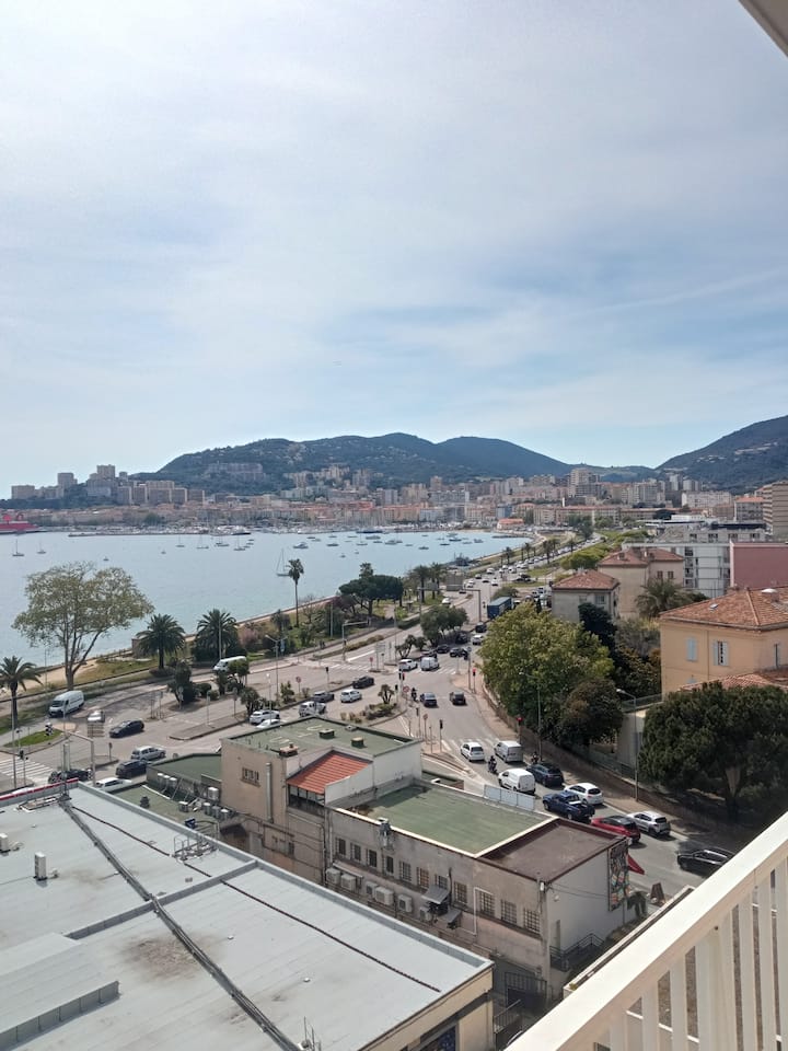Appartement Lumineux Et Spacieux - Ajaccio