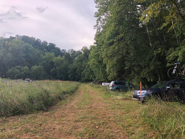6 - Creekside Campsite #6 - Knoxville, TN