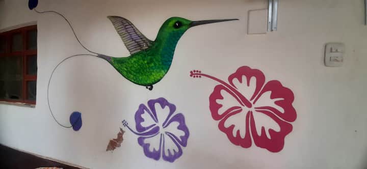 Habitación Mixta - Chachapoyas