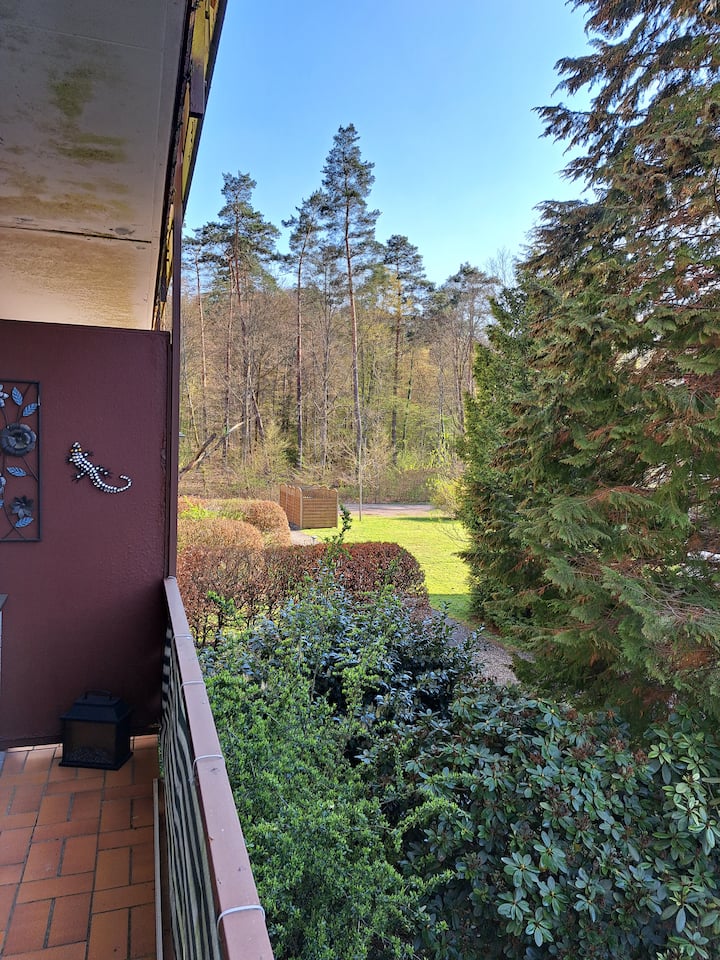 Seen- Und Felsenland - Fischbach bei Dahn