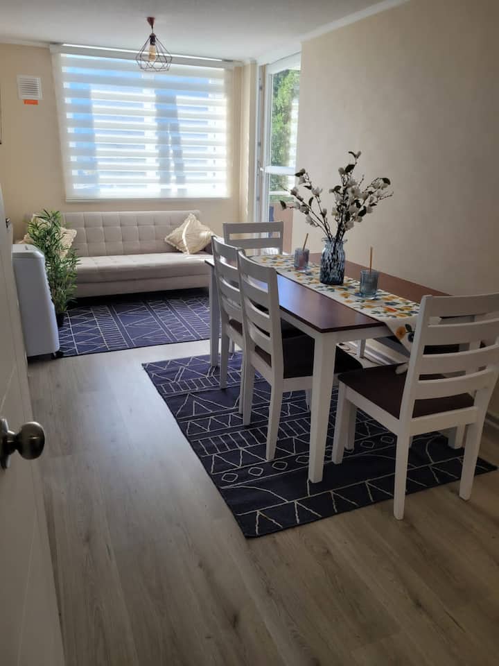 Hermoso Departamento 6 Personas - Pucon