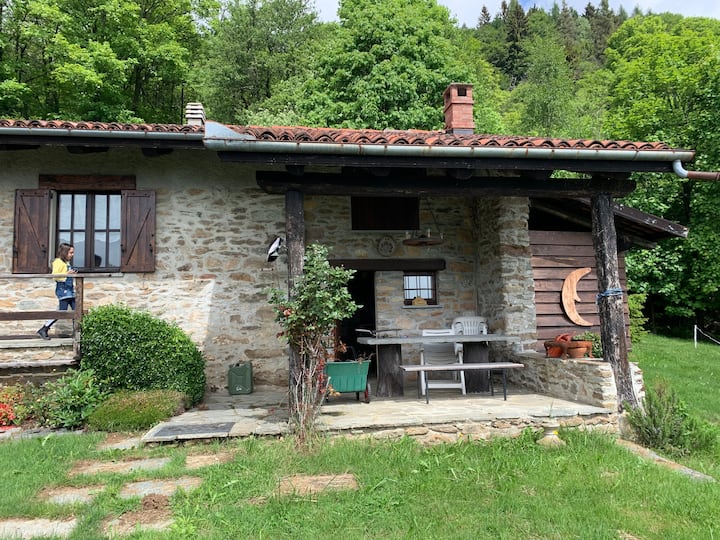 House Surrounded By Nature - Netro