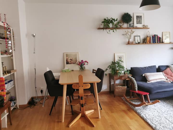 Sweet Flat In The Heart Of Bern - Bern