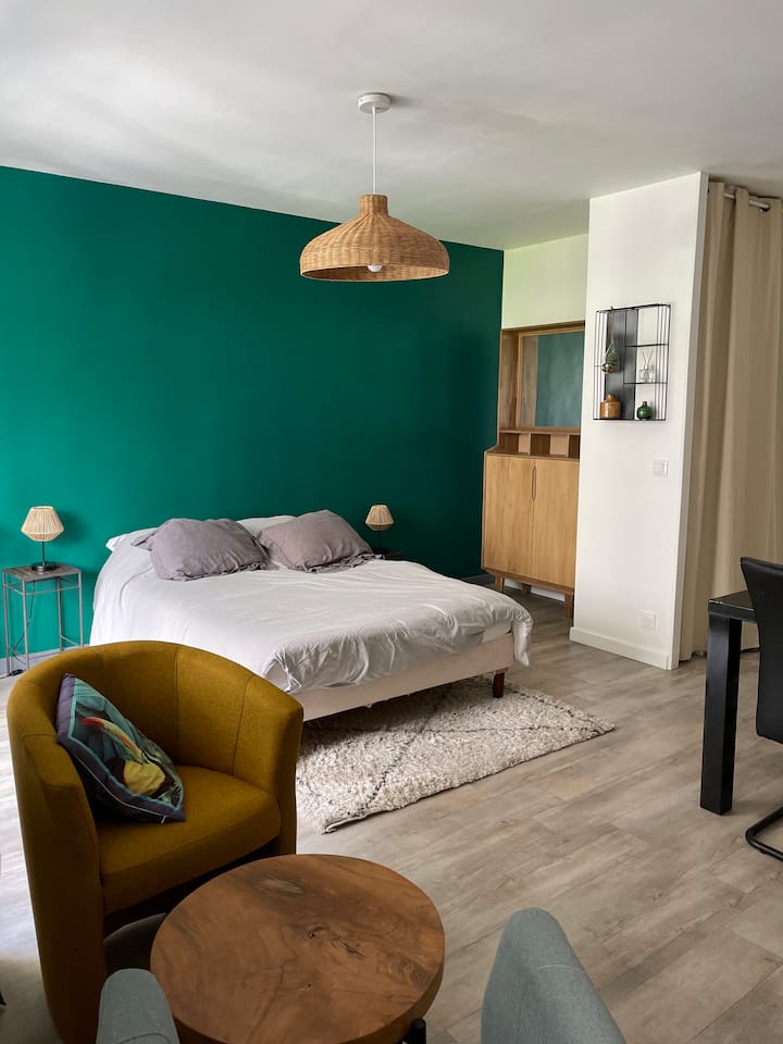 Studio 27m2 De Charme Hyper-centre Et Parking - Aix-les-Bains