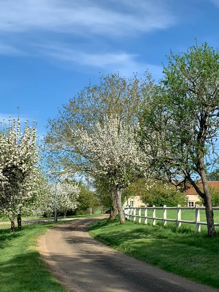 Gîte De Caractère En Bourgogne - Clamecy