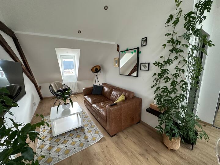 Appartement Cocooning Au Centre Ville - Illkirch-Graffenstaden