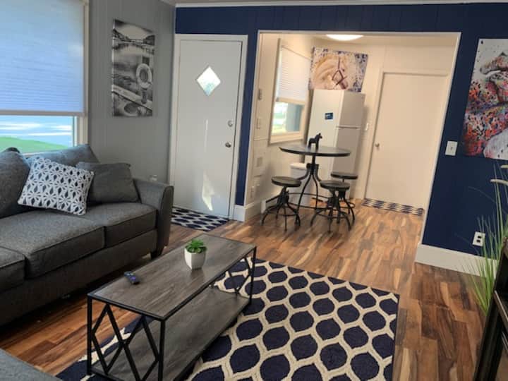 Modern 1st Floor Duplex The Blue Horse - Appleton, WI