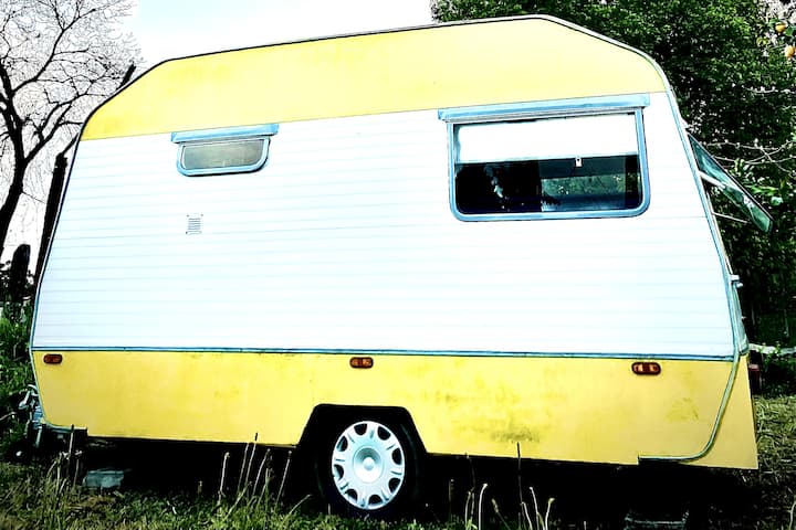 Tieta - Caravana Do Minho - Santo Tirso