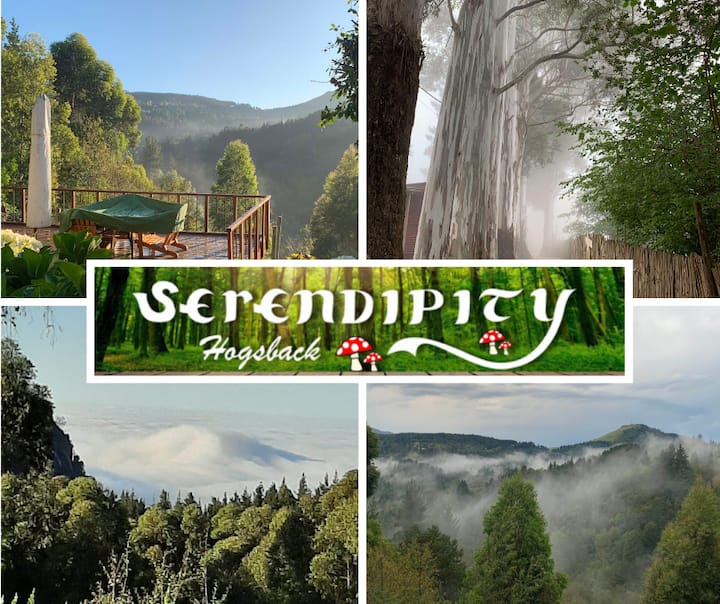 Treebeard Cottage - Hogsback
