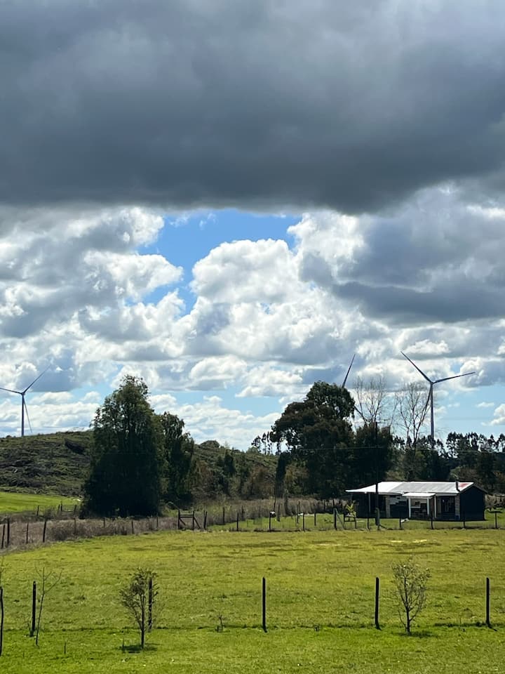 Casa Compartida En Zona Rural Frutillar - Puerto Octay