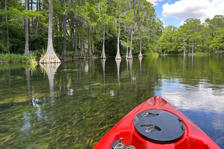 Rainbow River 3br Retreat • Kayaks • Pet Friendly - Dunnellon, FL
