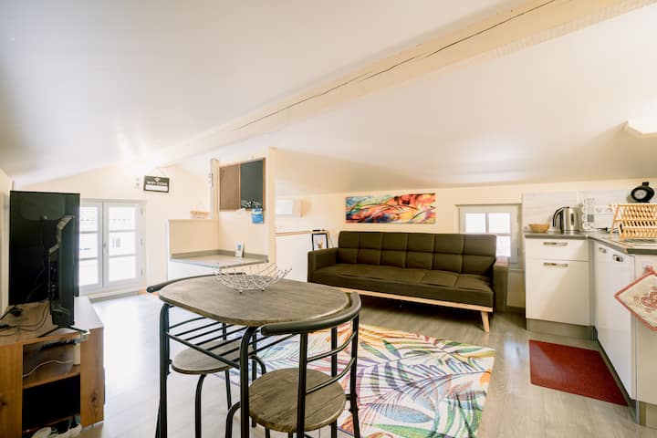 Centre Historique Et Bord Du Tarn - Clim - Unique - Albi