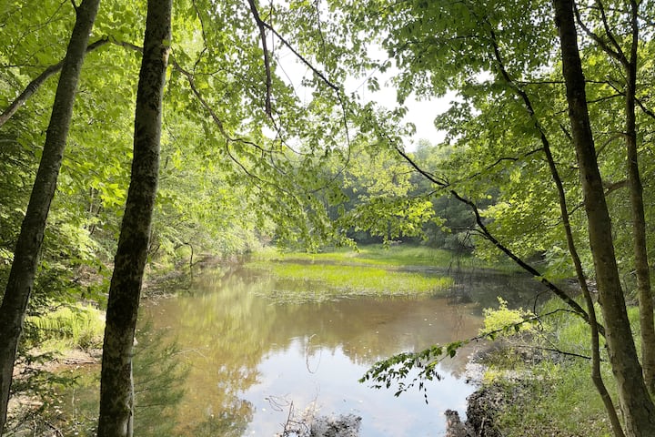 Beautiful Farmhouse, pond, firepit, nearby farm - Houses for Rent in ...