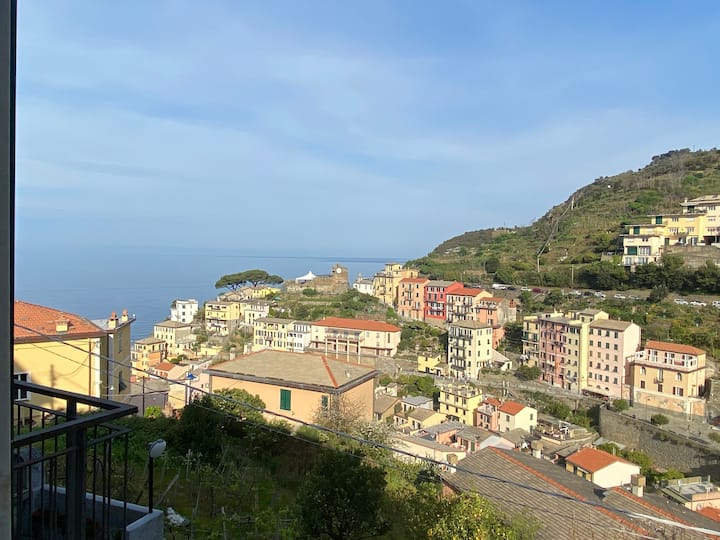 Vista Sul Mare - Manarola