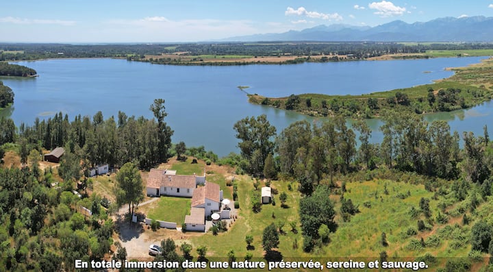 Sur Domaine De 8 Ha En Bord De Lac, Proche Plages. - Aléria