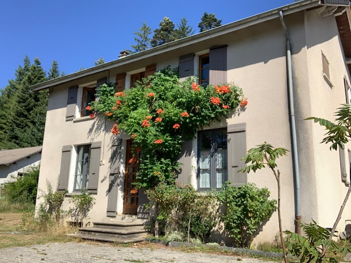 La Guespy, Au Calme Et Terrasse - Le Chambon-sur-Lignon