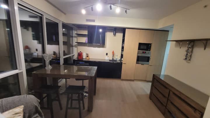 1bdrm Condo In Downtown Toronto - Toronto