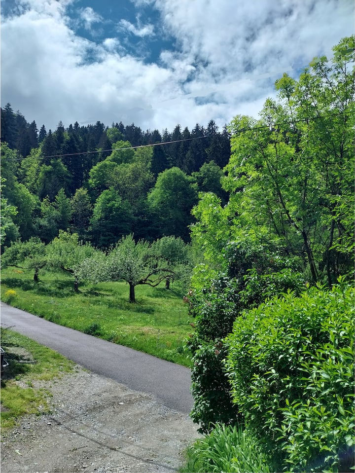 Appartement  Cadre Bucolique - Passy