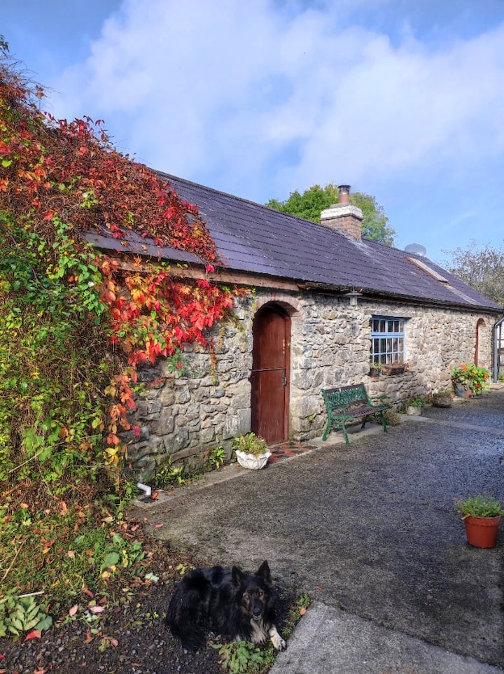 Toorlestraun : locations de vacances et logements - County Sligo ...