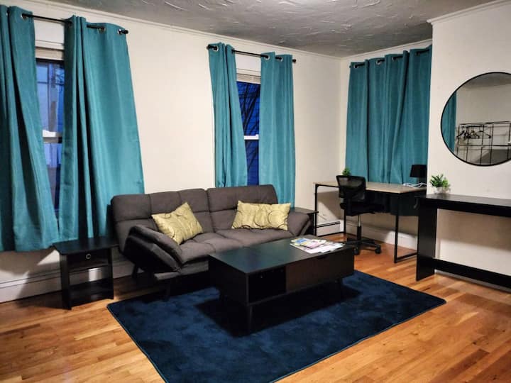 Spacious 2-bedroom Apt. In Cambridge - Cambridge, MA