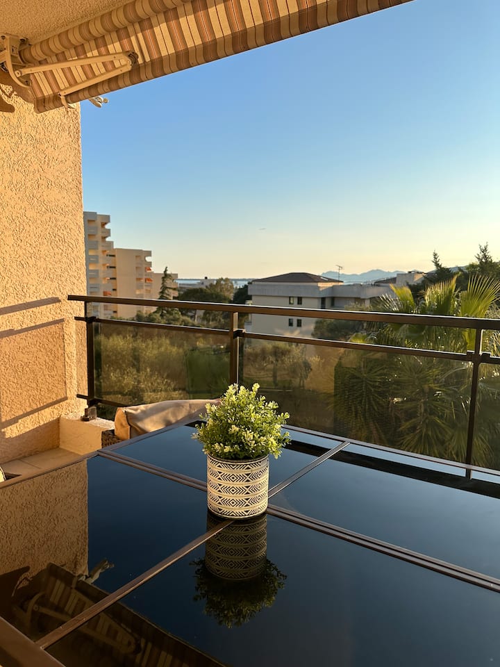 Superbe Studio Climatisé - Parking - Piscine - Antibes