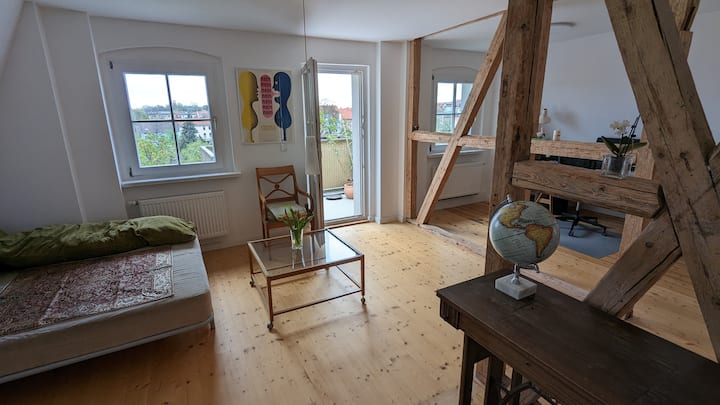 Dachwohnung Am Landesmuseum - Halle an der Saale