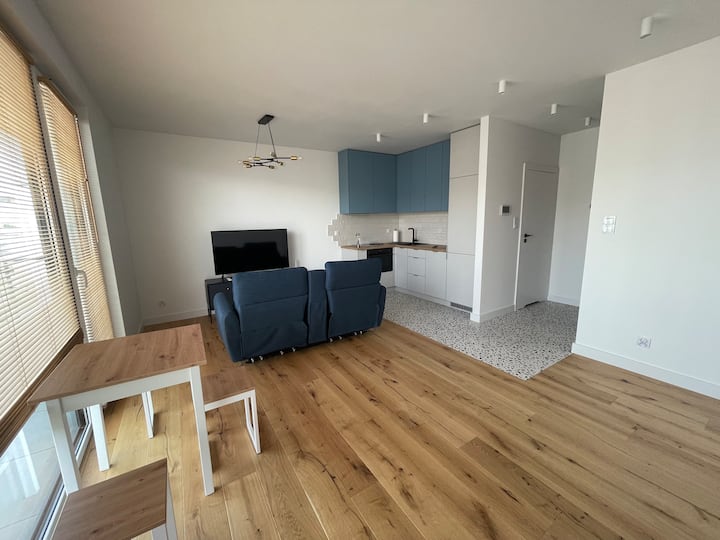 Apartament Katowice Centrum - Katowice