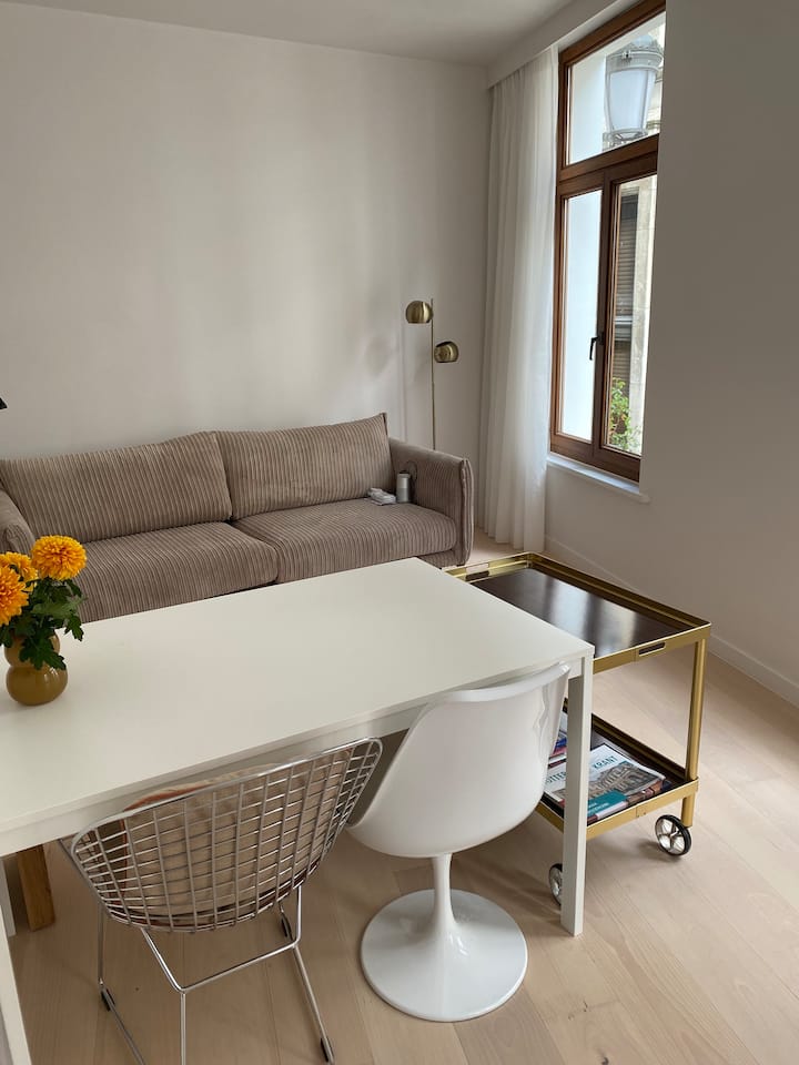 Carolus Design Apartment In Heart Of Antwerp - Antwerpen