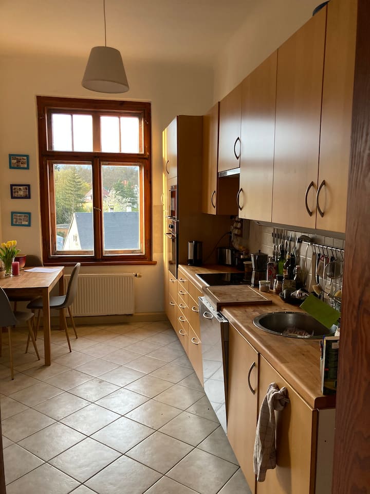 Großes Zimmer Im Altbau - ドレスデン