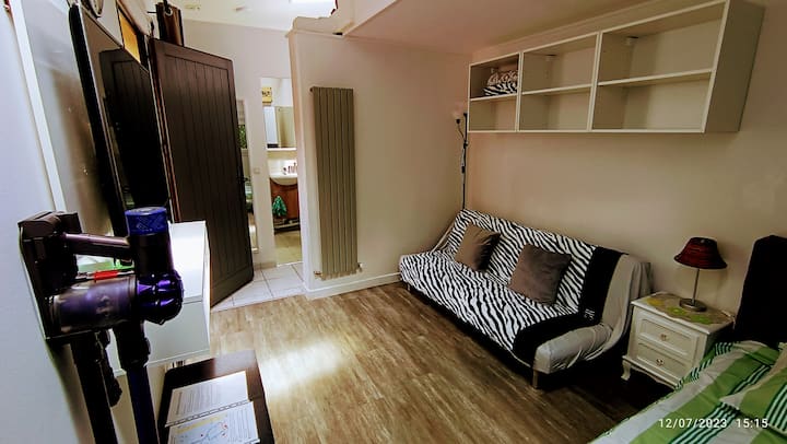 Petit Studio Avec Coin Jardin - Le Blanc-Mesnil