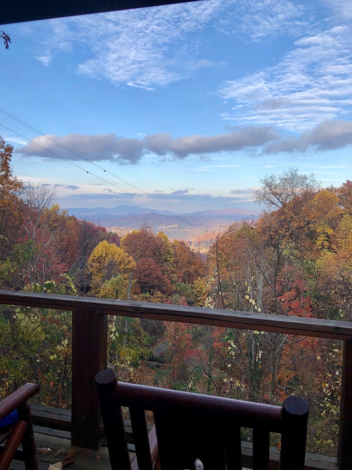 Bear-is-bueller's Day Off - Gatlinburg, TN
