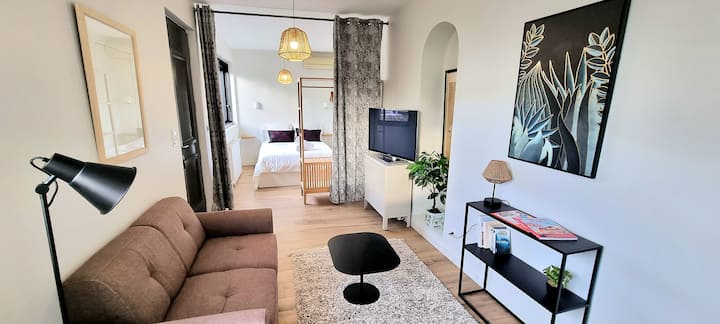 Studio "Chic & Garden" - Parking - Wifi - Tv - Toulouse