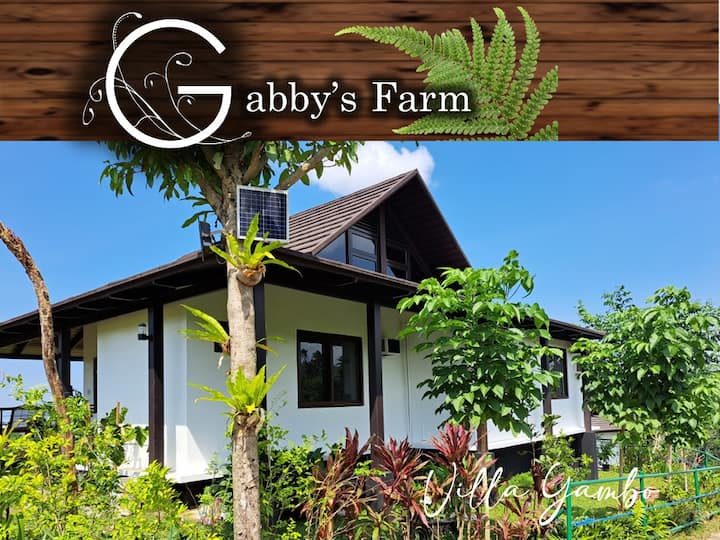 Gabby's Farm- Villa Yambo - Earth houses for Rent in Cabuyao, Laguna ...