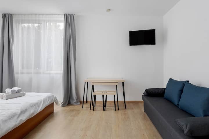 Dd Boutique Studio With Sofa1 - Cluj-Napoca